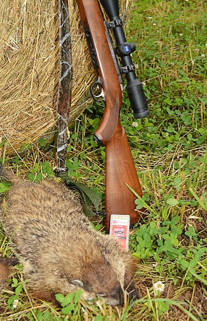 Ruger American Rifle Archives - Share the Outdoors