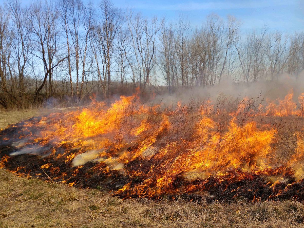 Fire! - Share the Outdoors