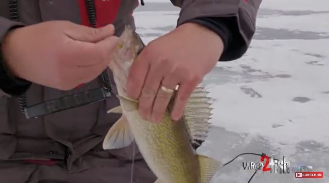 Tony Roach – Share the Outdoors
