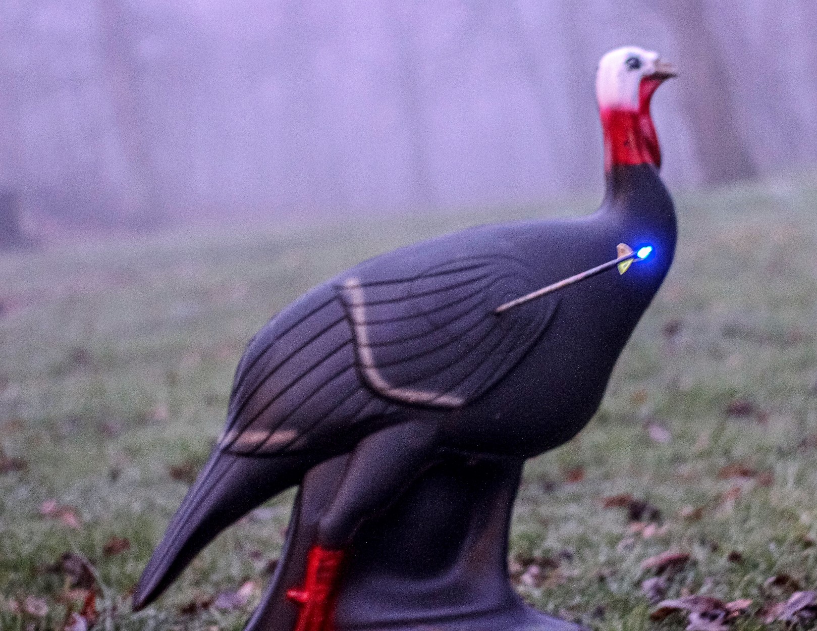 Bowhunting for a Turkey? Know the best Shot Placement Options BEFORE ...