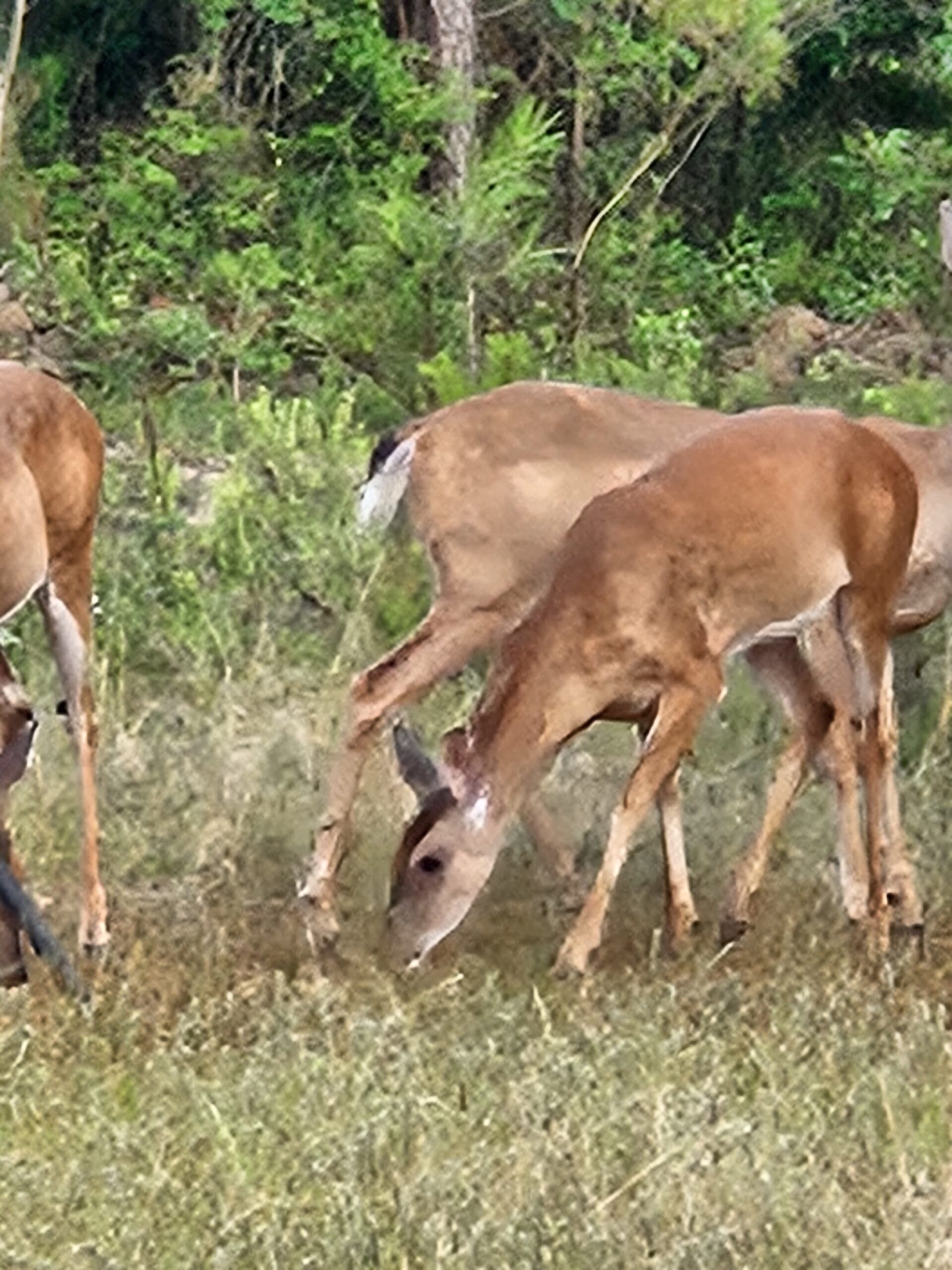 20240523_190511 – Share the Outdoors